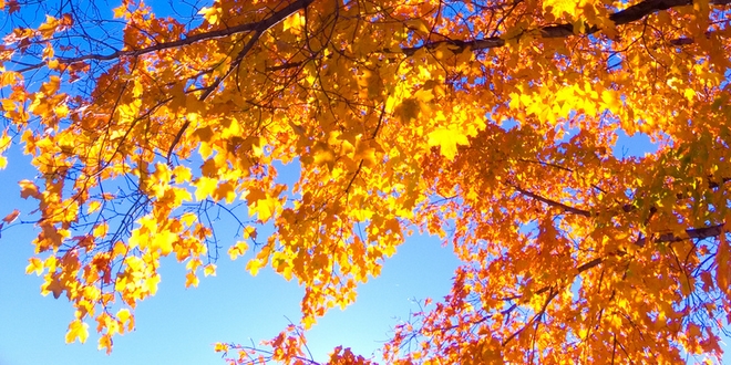 Bunte Reiseziele für den Herbst - Reisemagazin - LILIGO.com